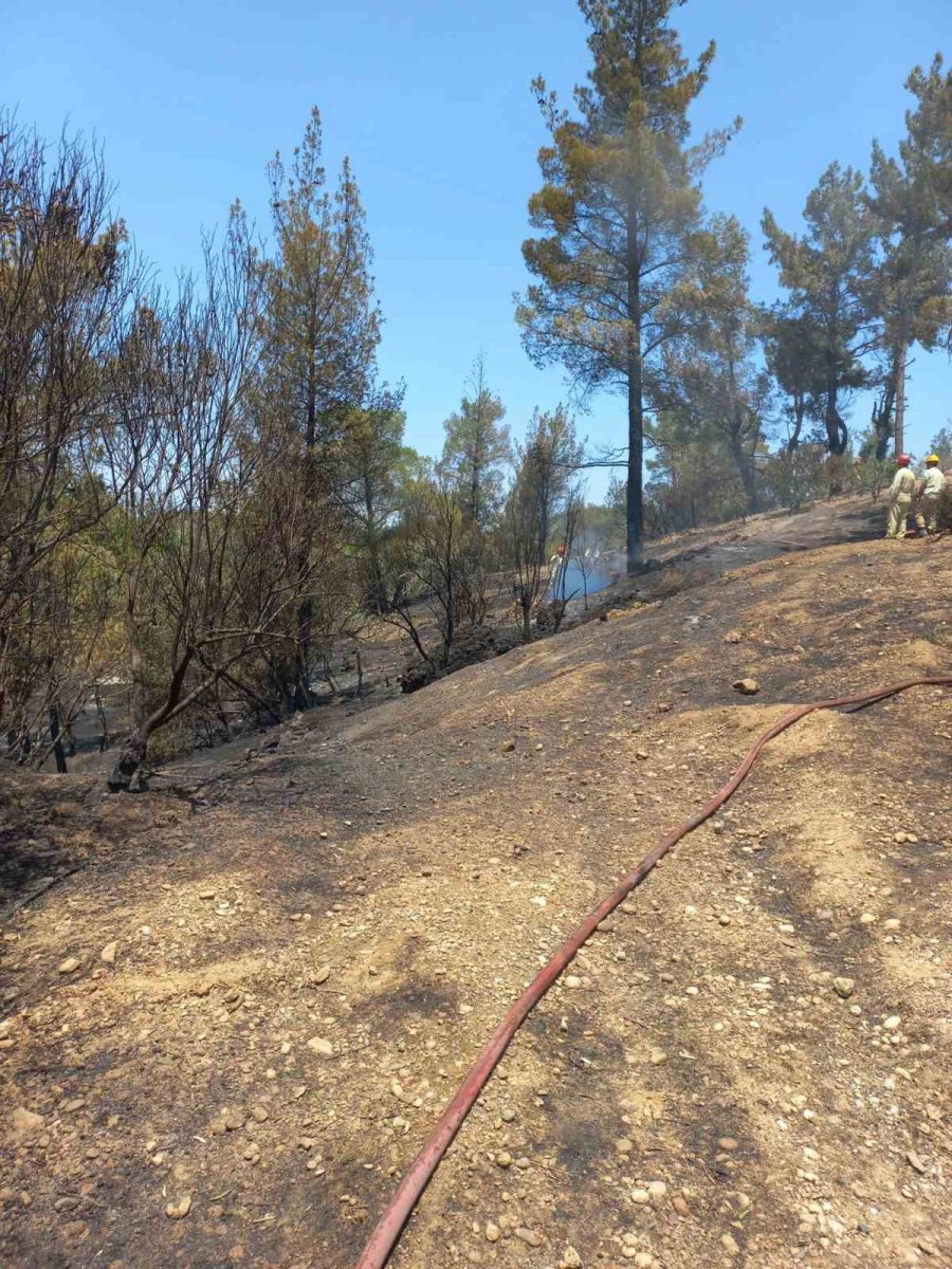 Mersin’de Ormanlık Alanda Çıkan Yangın Kontrol Altına Alındı