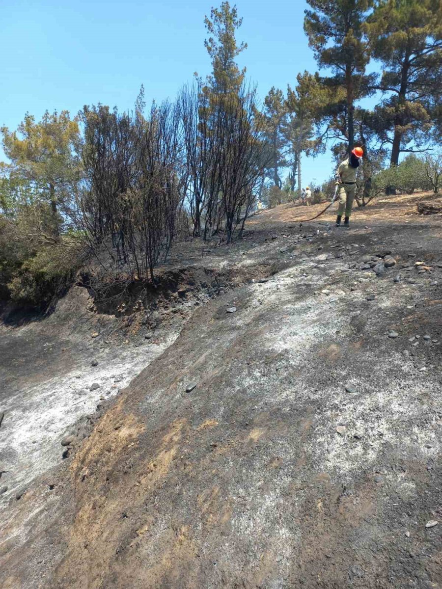 Mersin’de Ormanlık Alanda Çıkan Yangın Kontrol Altına Alındı